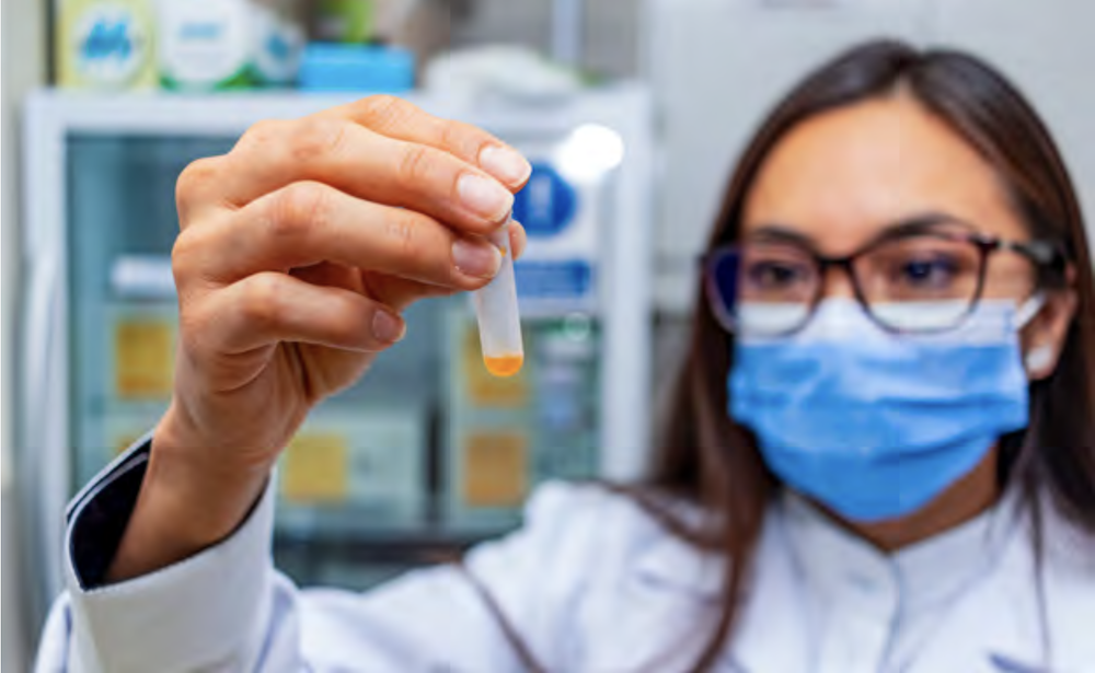 Avihol, líder en productos veterinarios y servicio de laboratorio – Avihol